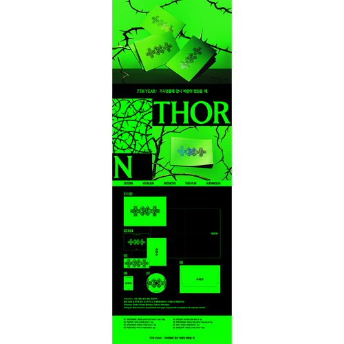 7TH YEAR: A Moment of Stillness in the Thorns THORN Ver. - TXT Official ...